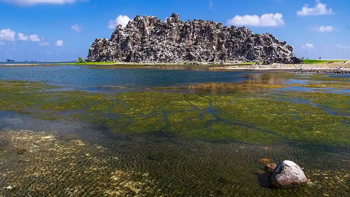 Clipperton, la isla olvidada al sur de Acapulco que México perdió en ...